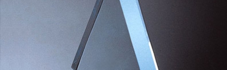 Storage Integrator of the Year" Award At The Integrator Awards 2013